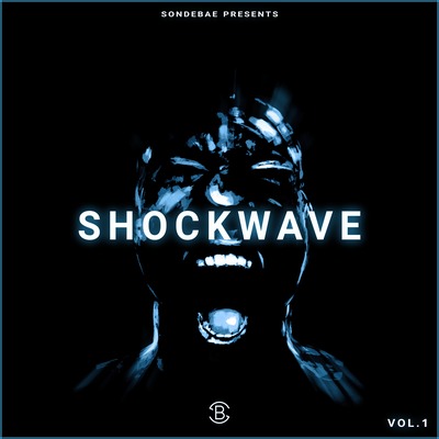 Shockwave Compilation, Vol. 1